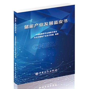 储能产业发展蓝皮书