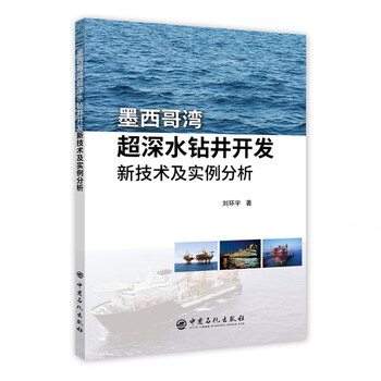 墨西哥湾超深水钻井开发新技术及实例分析