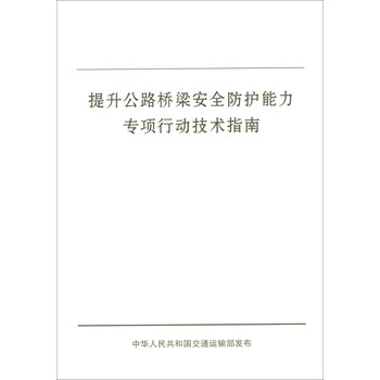 提升公路桥梁安全防护能力专项行动技术指南