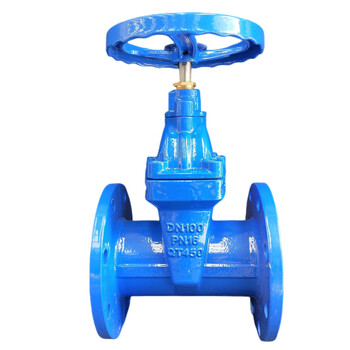 【尧字Z45X-10Q】尧字远大闸阀Z45X-10Q系列软密封闸阀 Z45X-10Q DN65*1台 【行情 报价 价格 评测】-京东