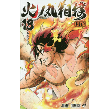 进口日文 火之丸相扑 火ノ丸相撲 18