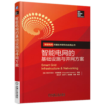 智能电网的基础设施与并网方案
