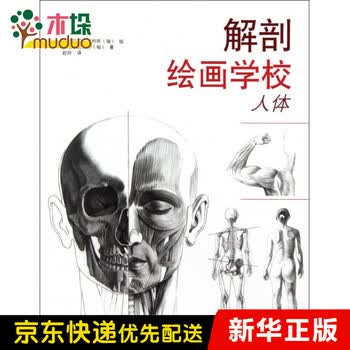 解剖绘画学校(人体)