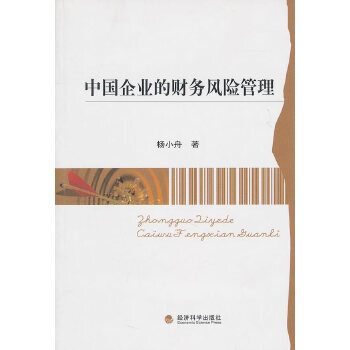 中国企业的财务风险管理