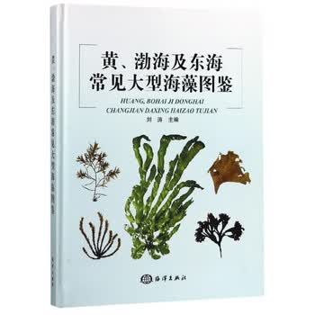 黄渤海及东海常见大型海藻图鉴(精)