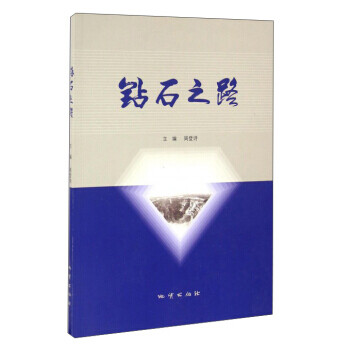 钻石之路 周登诗 9787116094529 地质出版社