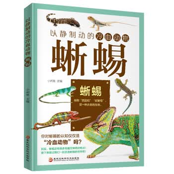 以静制动的冷血动物：蜥蜴