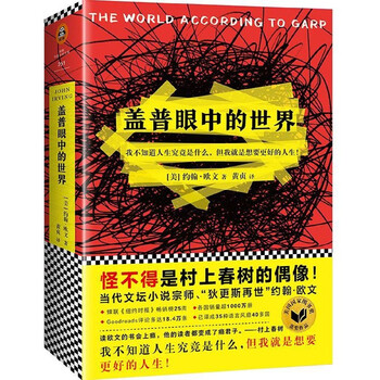 盖普眼中的世界