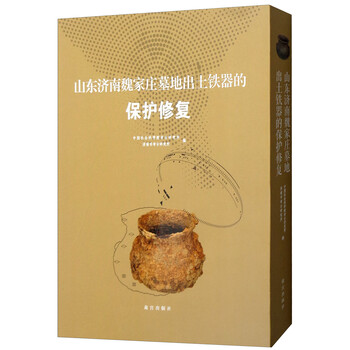 山东济南魏家庄墓地出土铁器的保护修复