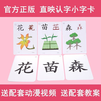 直映认字正版教材卡片有图识字1500字幼儿童早教启蒙认字卡0-3-6岁全脑记忆学龄前儿童象形识字拼音 长方形-放10*7cm以内卡片42个格子（无卡）