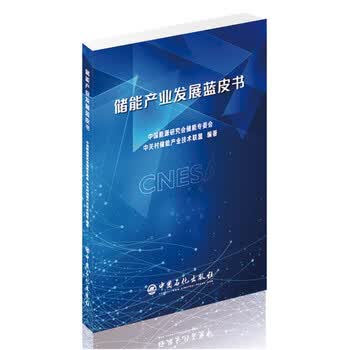储能产业发展蓝皮书