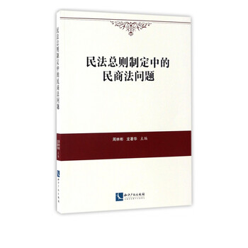 民法总则制定中的民商法问题