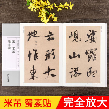 米芾蜀素帖 全文放大版 宋 历代碑帖经典单字放大本 简体旁注 蜀素帖行书书法毛笔字帖 安徽美术出版社
