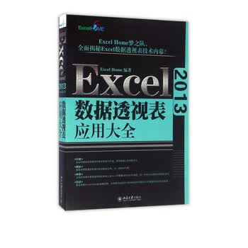 Excel2013数据透视表应用大全