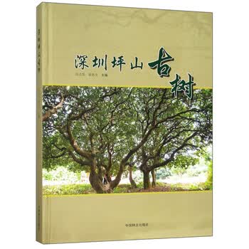 深圳坪山古树