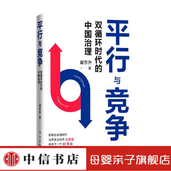 平行与竞争 双循环时代的中国治理 翟东升 著 经济