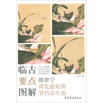 郎世宁荷花慈姑图翠竹牵牛图