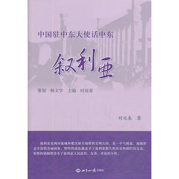 中国驻中东大使话中东 叙利亚
