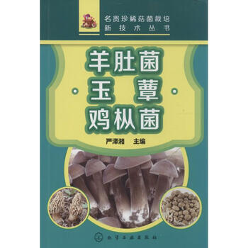 羊肚菌·玉蕈·鸡枞菌无