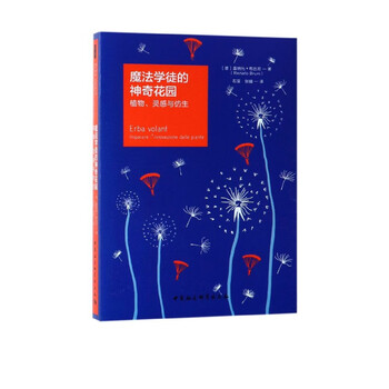 魔法学徒的神奇花园(植物灵感与仿生)
