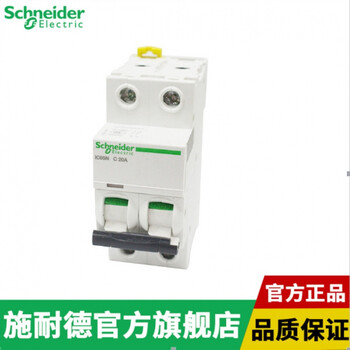 施耐德A9F iC65N 2P C型 1-50A 微小型断路器 小型空气开关 A9F18206 2P C6A【图片 价格 品牌 报价】-京东