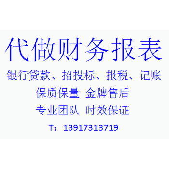 代做财务报表资产负债表 利润表 现金流量表 银行贷款招投标报告