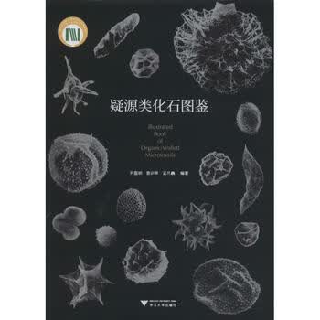 疑源类化石图鉴