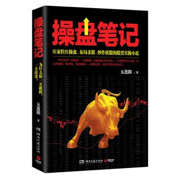 盘笔记 小说 书籍