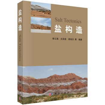 [按需印刷]盐构造