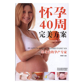 怀孕40周方案 孕产 胎教 书籍