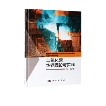 二氧化碳炼钢理论与实践(精)
