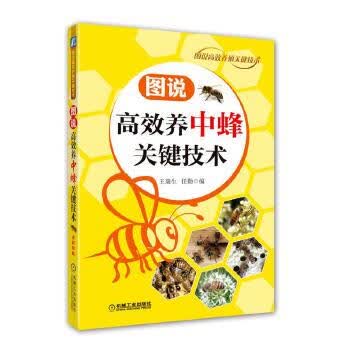 图说高效养中蜂关键技术