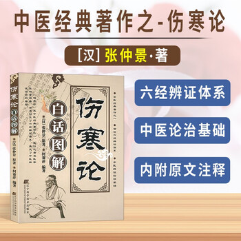伤寒论白话图解 张仲景 伤寒论中医古籍校注白话文解今释译释 中医学基础入门书籍 中医四大名著 中医辨证论治典籍 中医六经辨证体系 中医辨证论治基础 中医医书