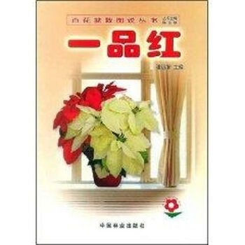 一品红