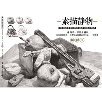 素描静物（超高人气名师一线教学资料）