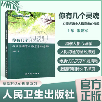 你有几个灵魂 心理咨询中人格意象的分解 意象对话心理学系列 人民卫生出版社