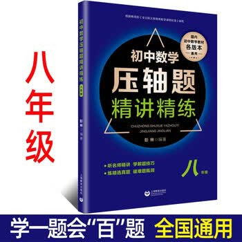 初中数学压轴题精讲精练八年级解题技巧思维训练册举一反三初中数学教材各版本通用初二冲刺提升辅导资料书籍