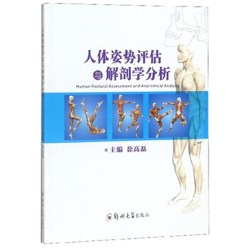 人体姿势评估与解剖学分析