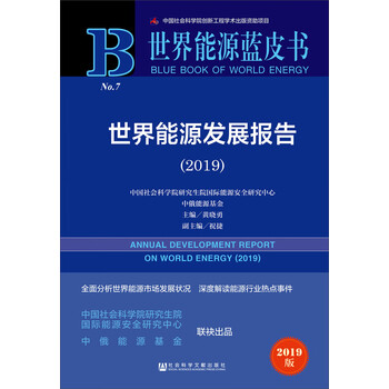 世界能源蓝皮书:世界能源发展报告（2019）