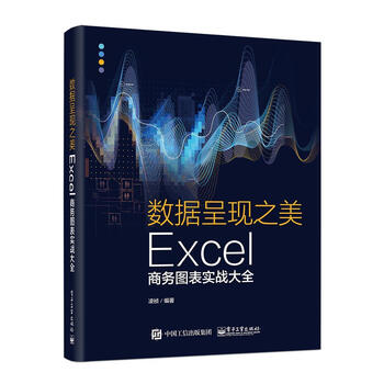 数据呈现之美：Excel商务图表实战大全 【正版书】
