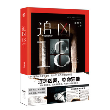 追凶18年 青春文学 书籍