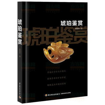 琥珀鉴赏 杨惇杰 9787501997190 中国轻工业出版社