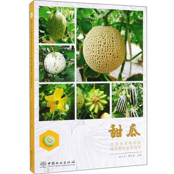 甜瓜优质高效栽培及病虫害防治新技术