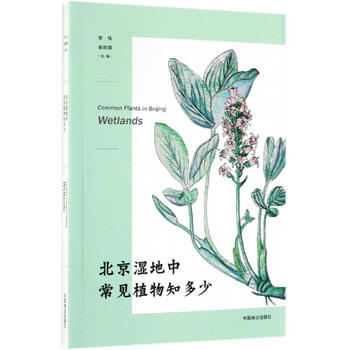 北京湿地中常见植物知多少