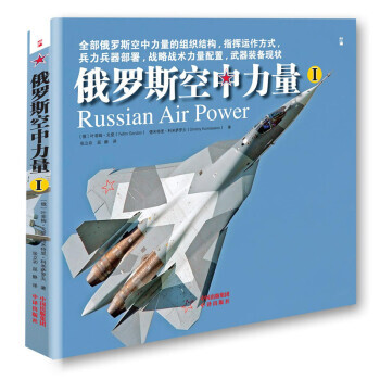 俄罗斯空中力量