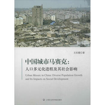 中国城市马赛克 