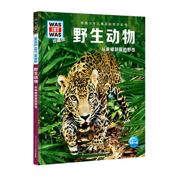 野生动物