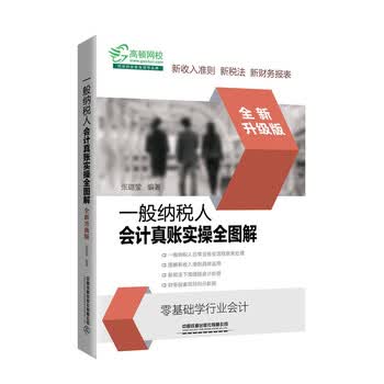 一般纳税人会计真账实操全图解（全新升级版）