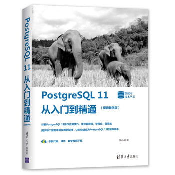 POSTGRESQL 11从入门到精通视频教学版