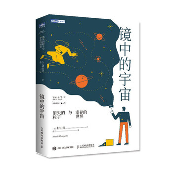 镜中的宇宙 消失的粒子与幸存的(图灵出品)